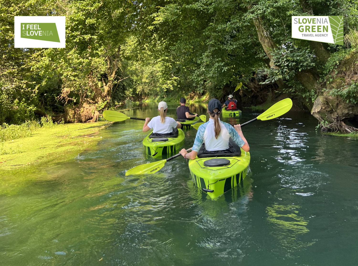 Green adventure - The ultimate experience in nature